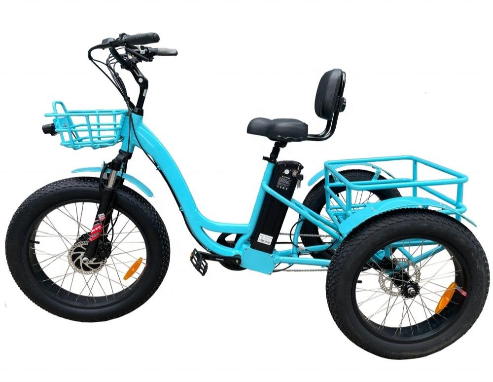 24 Inch 3 Wheel Electric Tricycle 7 Speed 48V 750W Electric Fat Tire ...
