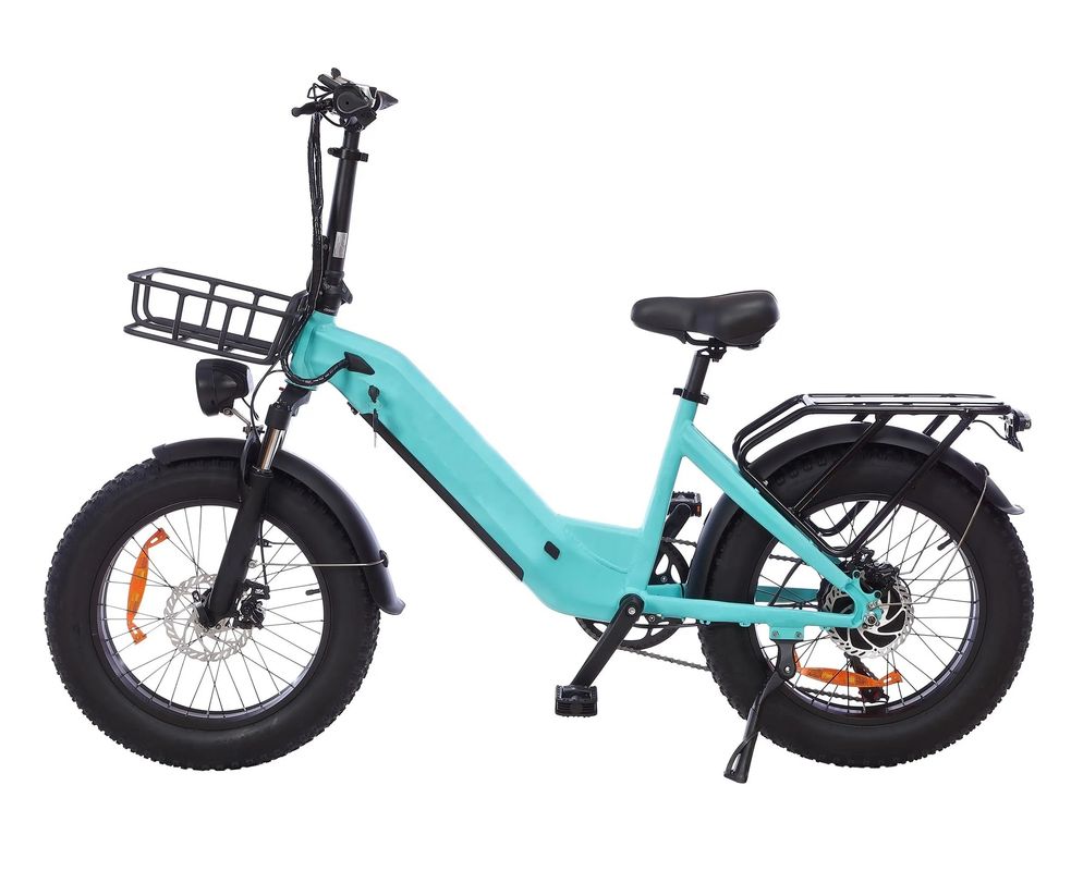 Kids 20 Inch Electric Fat Tire Bike Hidden Battery 48V 500W Step ...
