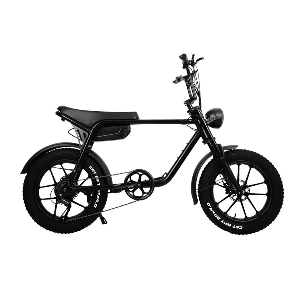 48V 15AH 750W Super 7 3 Fat Wheel Electric Bike With 10 Beams ...